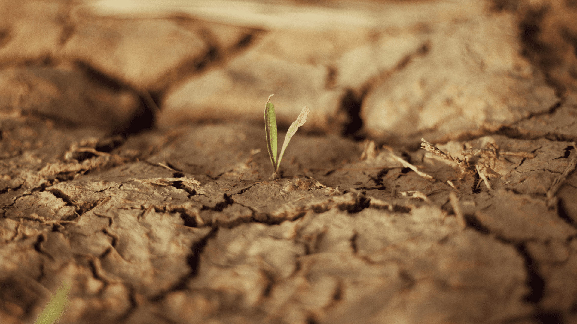 ESA Symposium on Earth observation for soil protection and restoration | MarginUp!